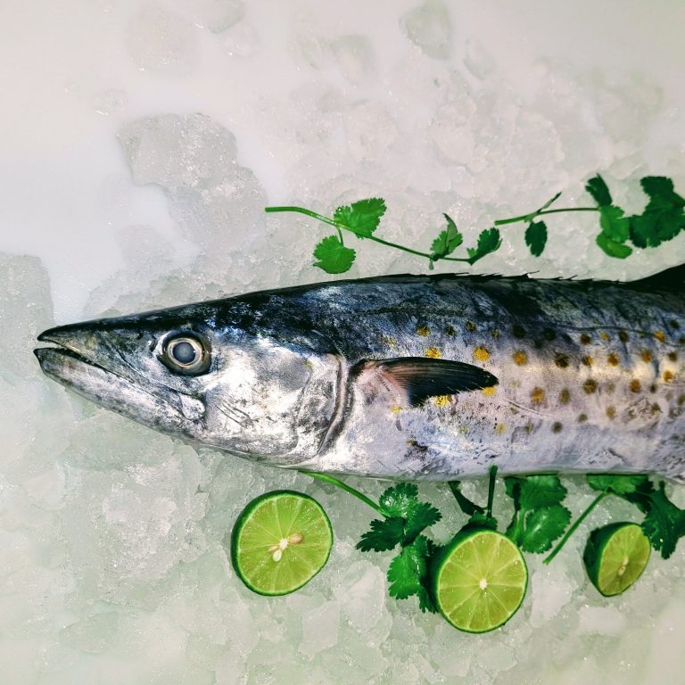 Sierra – Balandra Seafood Market