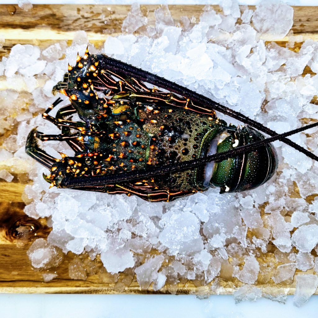 Camarón U12 – Balandra Seafood Market